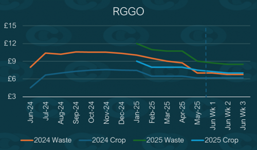 Market Report | June 2025 - C-Zero Markets